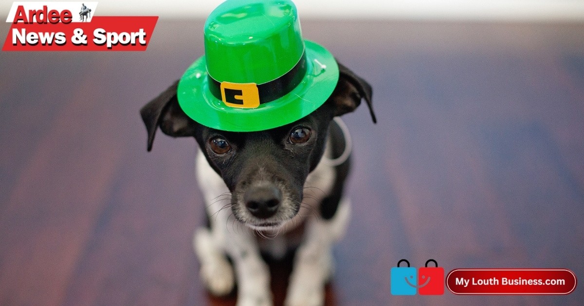 St. Patrick’s Day 2025: Your Complete Guide to Parades